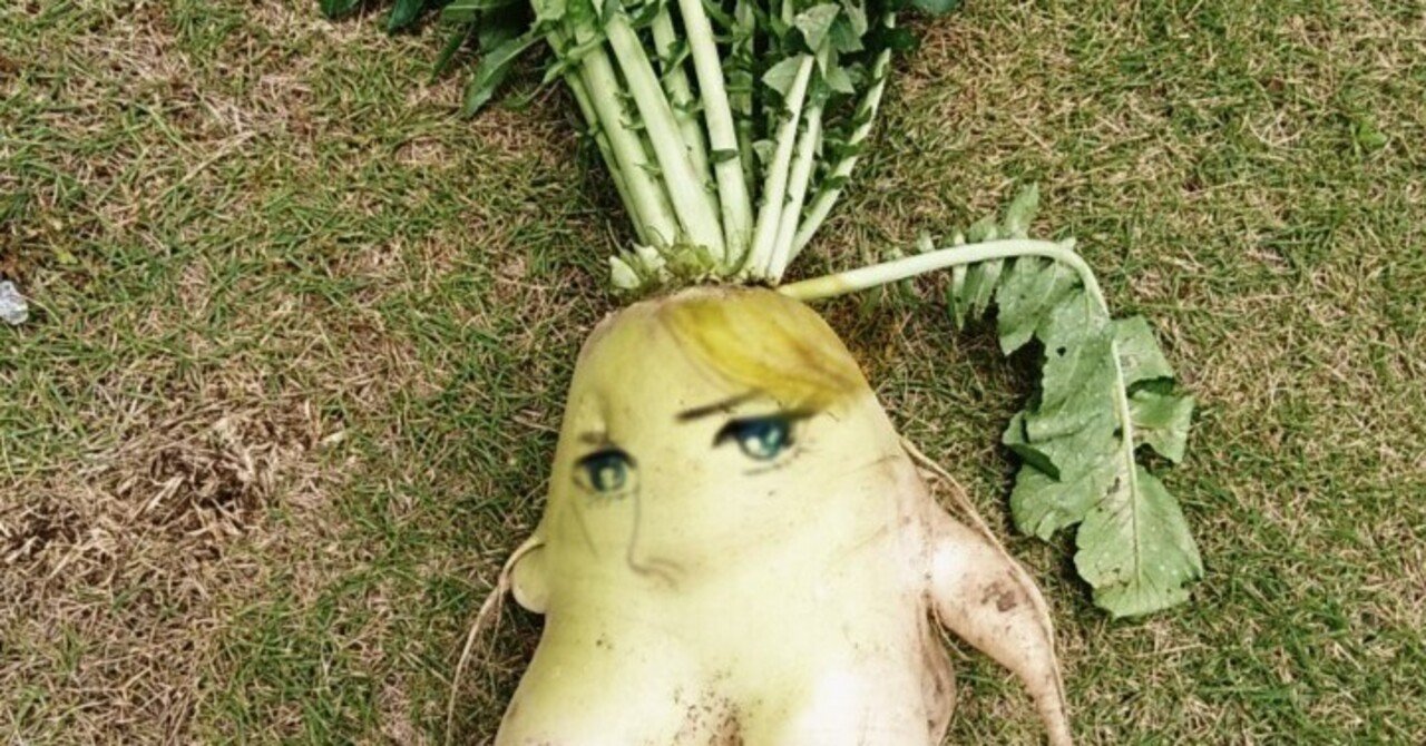 あけましておめでとうございます｜akkiy☆｜note