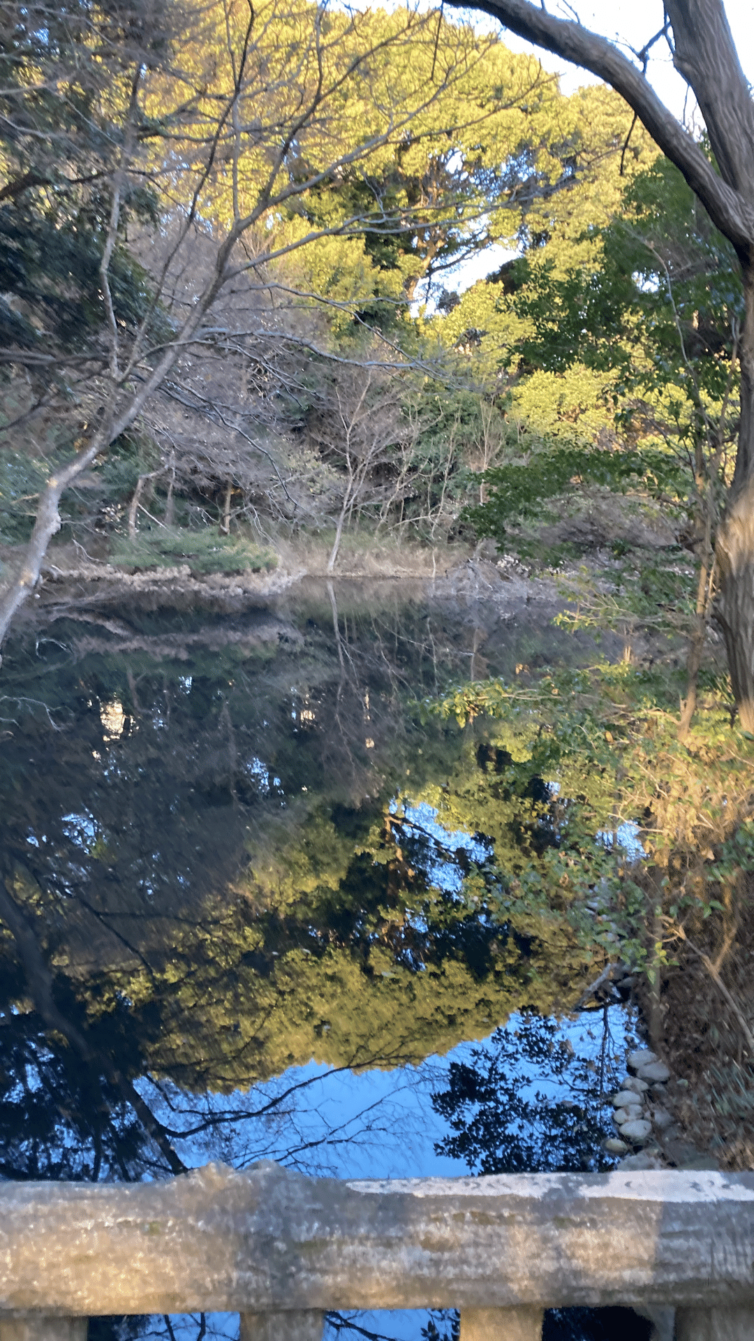 いいね写真集作りました。｜k_taku｜note