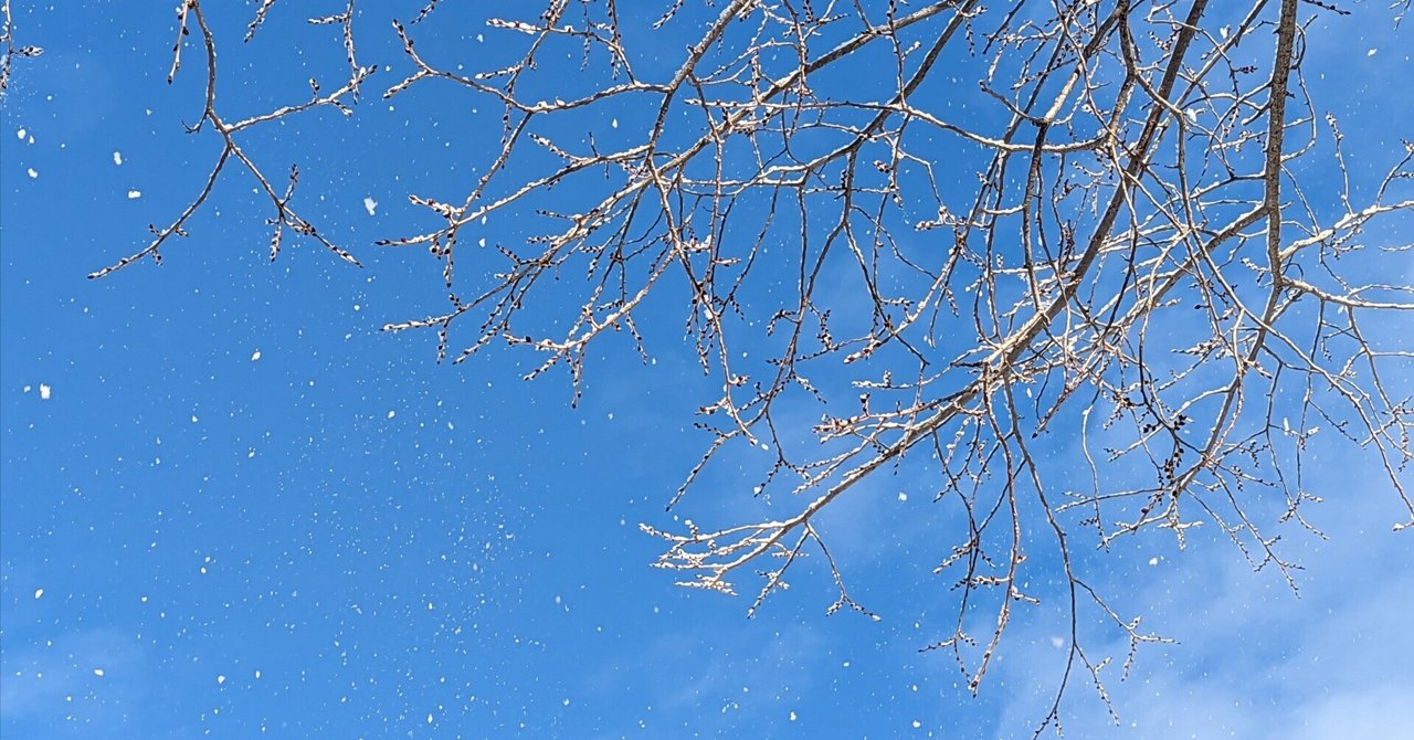 TypeScript 入門の記録（37）プロを目指す人のためのTypeScript入門（22）オブジェクトの型（その1）｜jnkykn