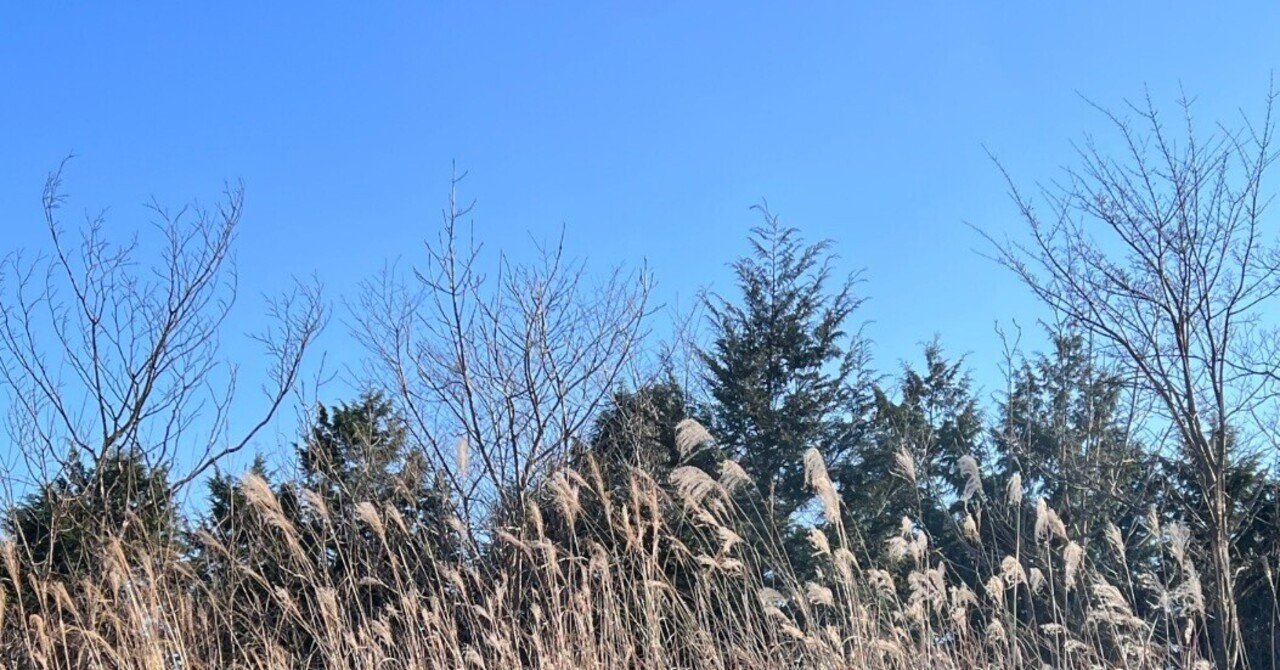 感情の変化を受け止め、この瞬間を。｜村上chii｜note