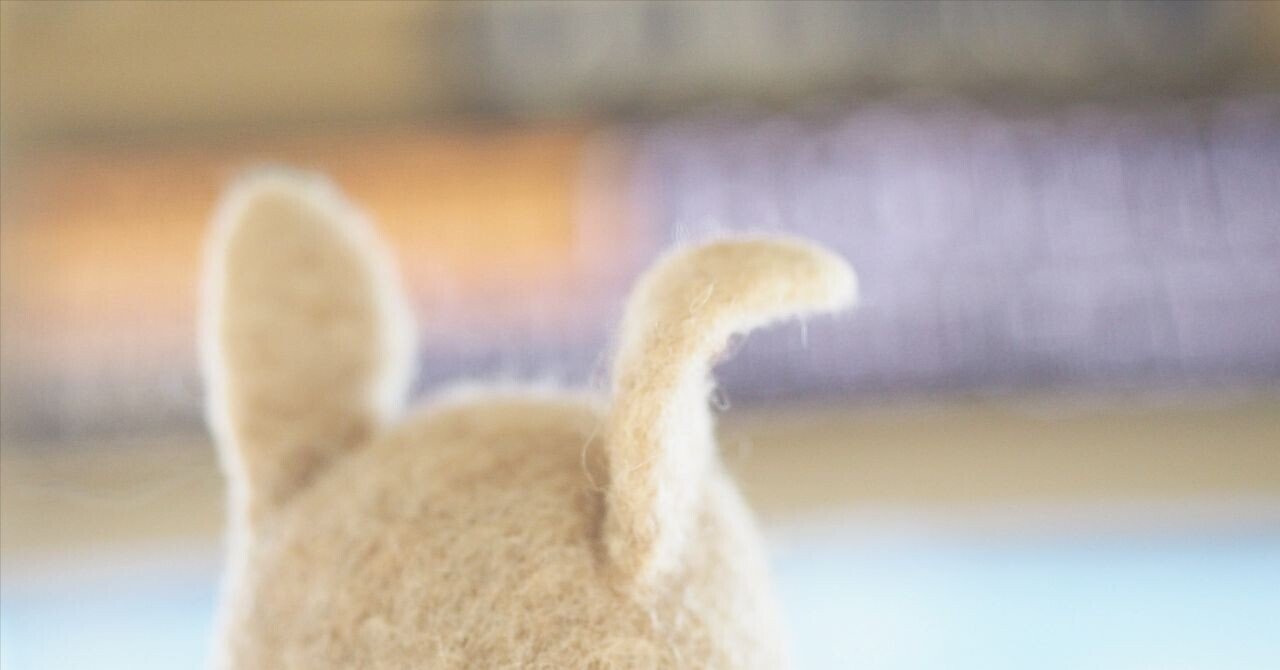 「Sally note」スタート｜SLEEPY SHEEP