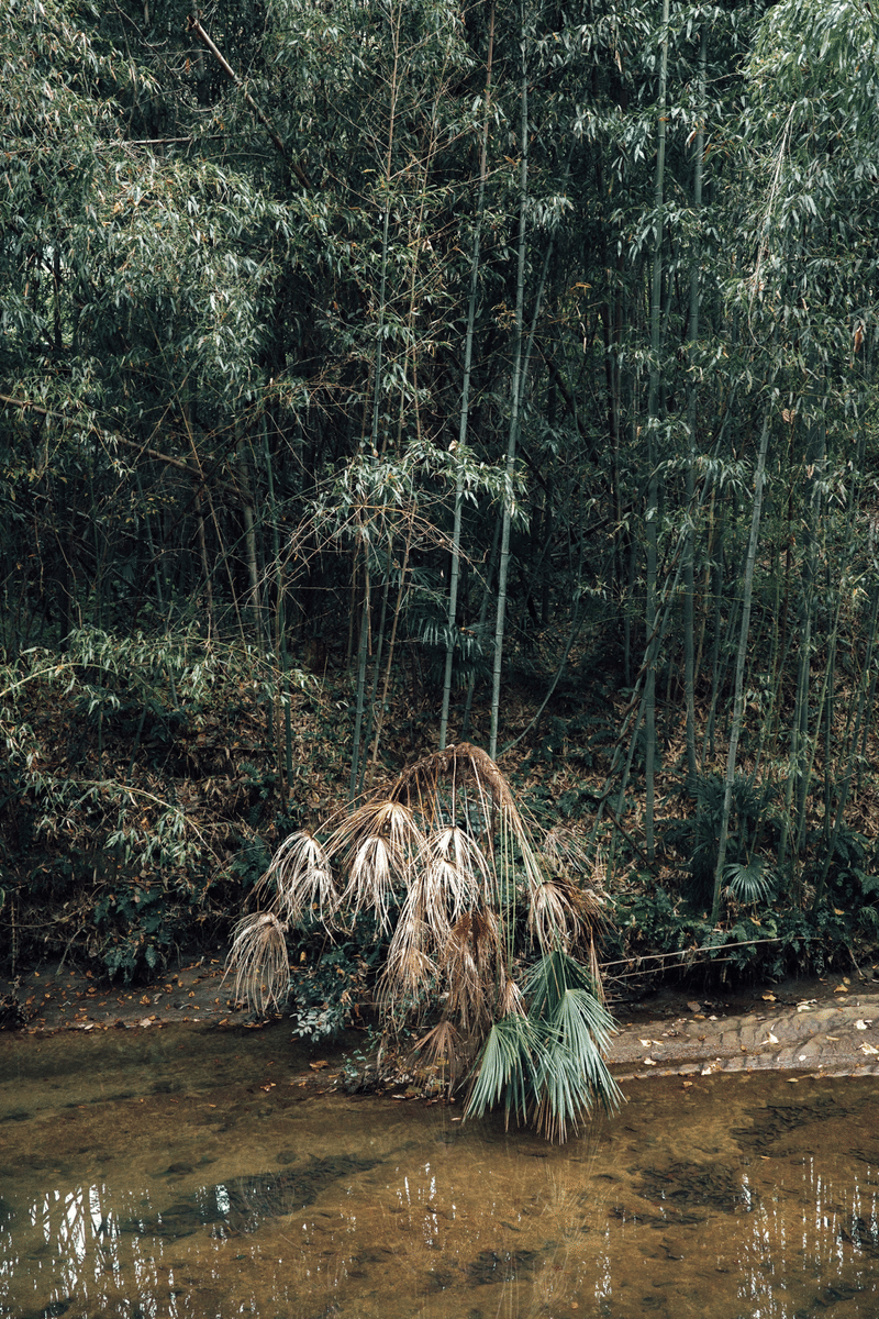 So Kudo 工藤崇｜note