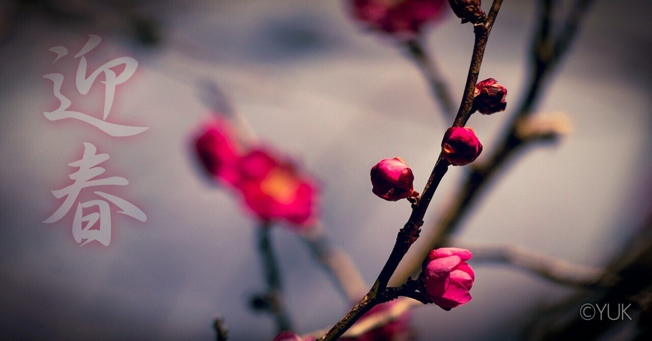 あけましておめでとうございます｜YUKI@NMG