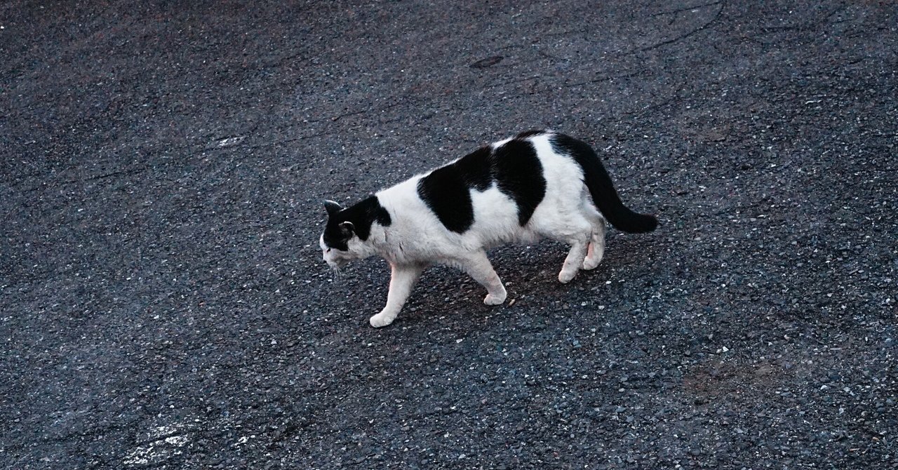 あけましておめでとうございます｜Tatsuya F｜note