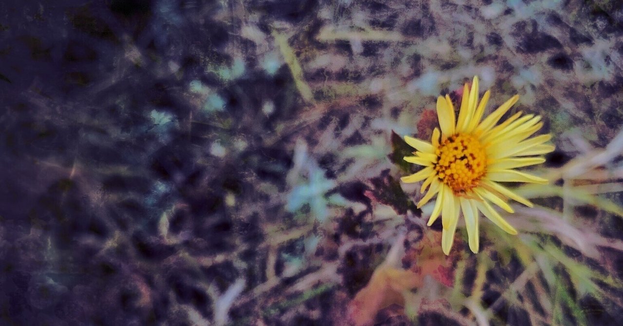 20230101｜たつきち｜note