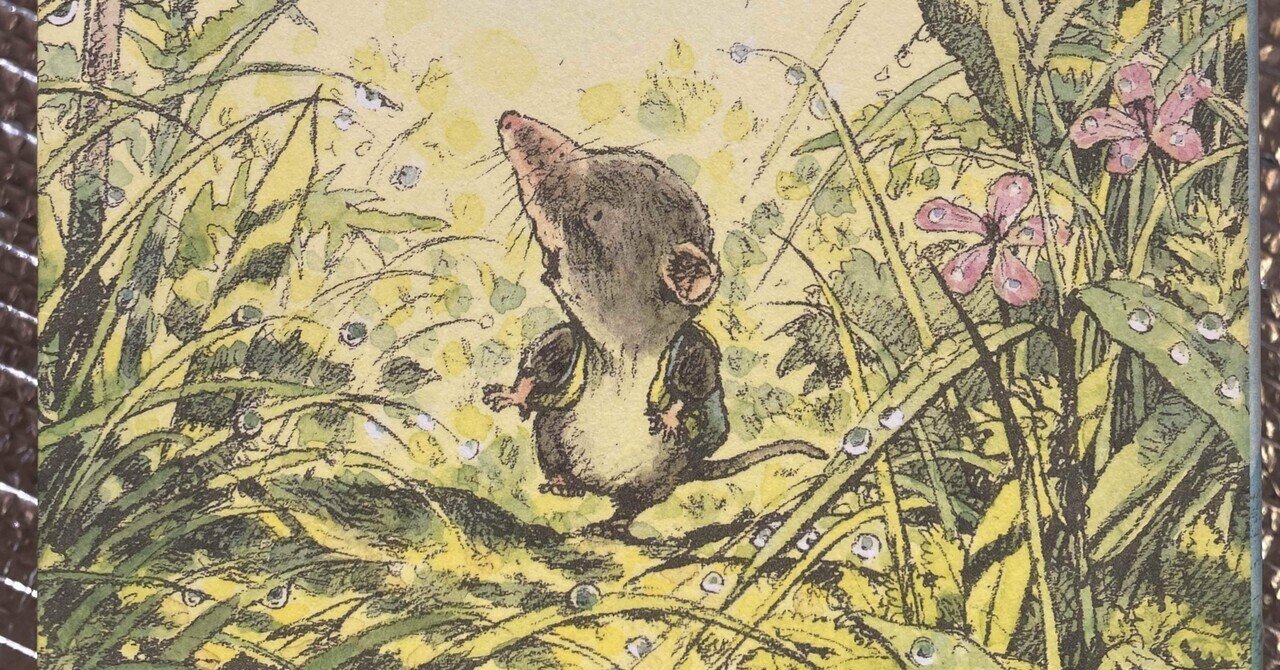 僕の本棚 とがりやまの冒険｜shinmr