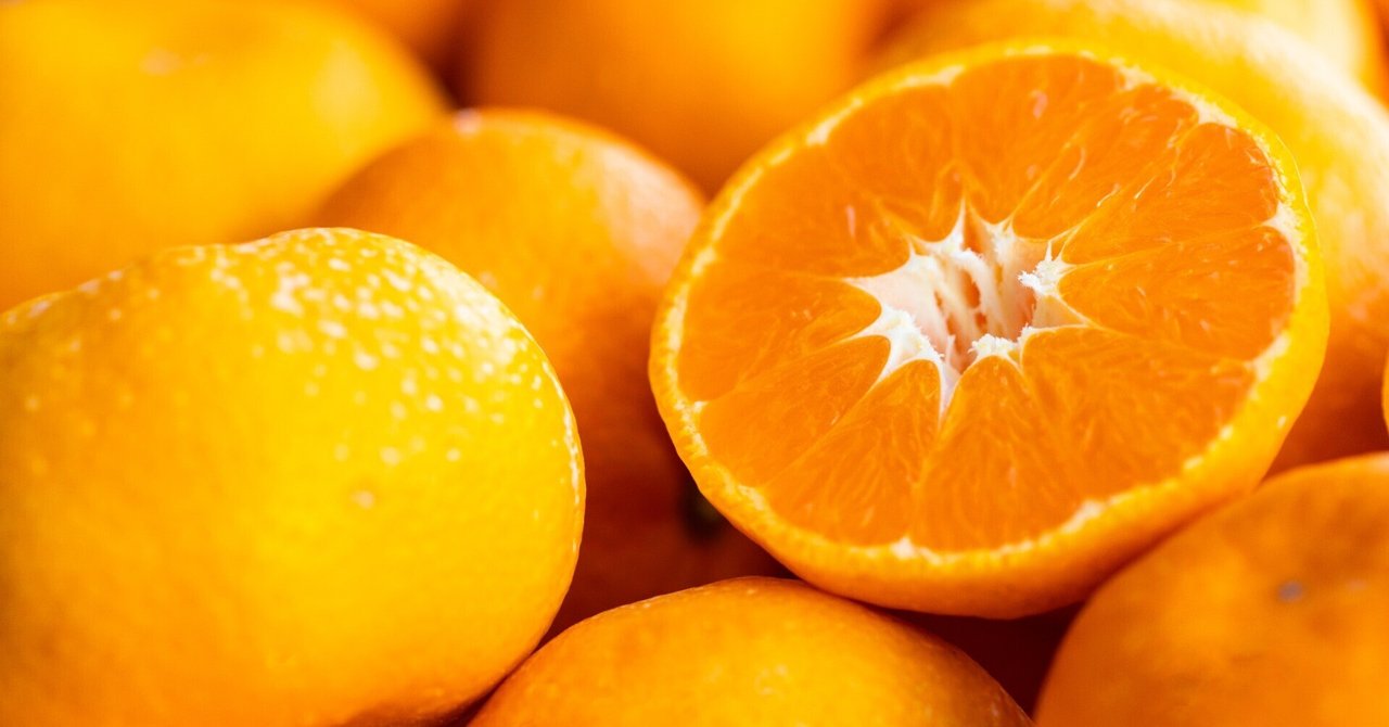 2022年の振り返り、そして新年の抱負｜Masayo Tanae