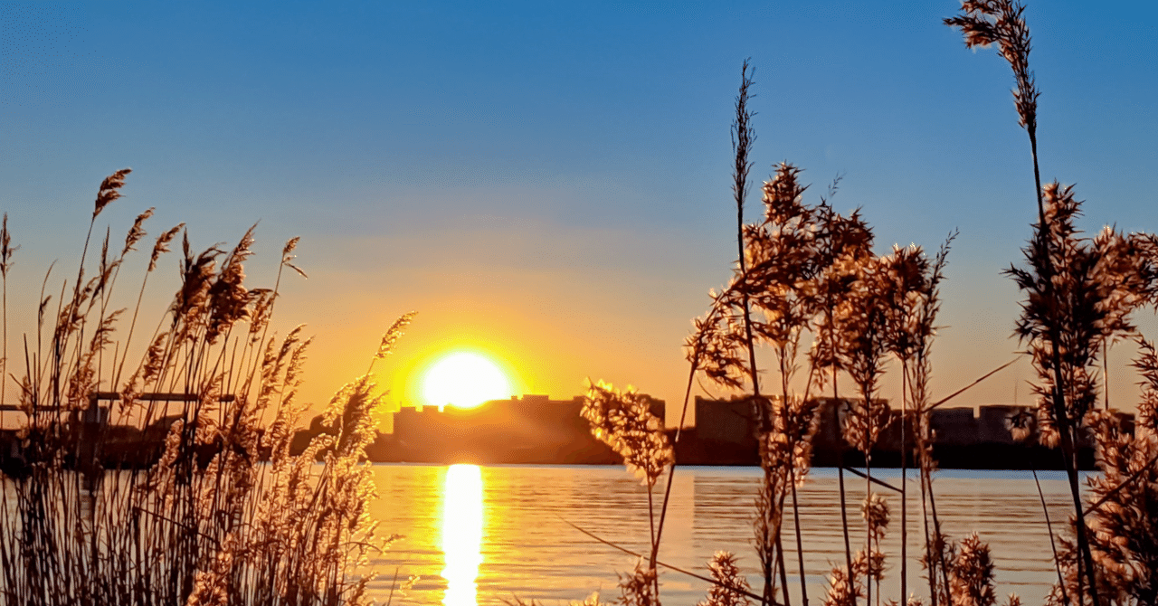 2023 〜抱負〜｜ume_life｜note