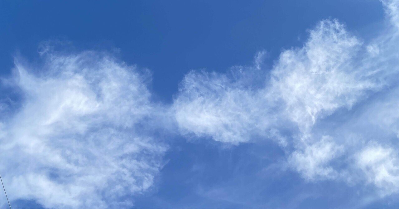 95 まだ22歳だけど、｜Pf_tacos｜note