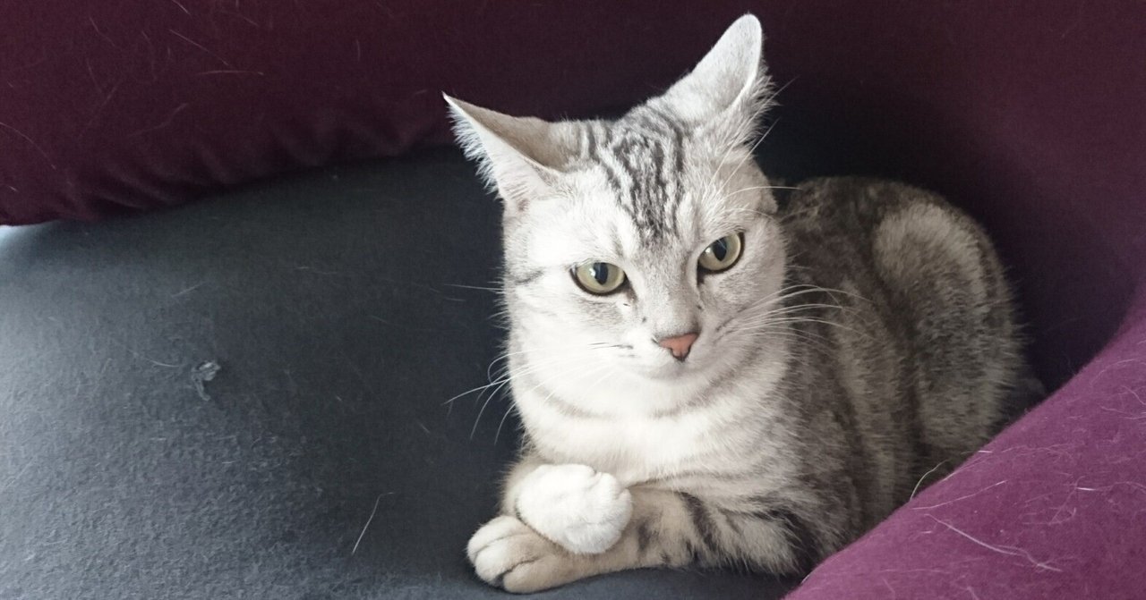 奇跡講座WB実践184 神の名は、私が受け継いだ賜物である｜(Linp&Ruru)本当の自分を知り、本当の自分として生きる｜note