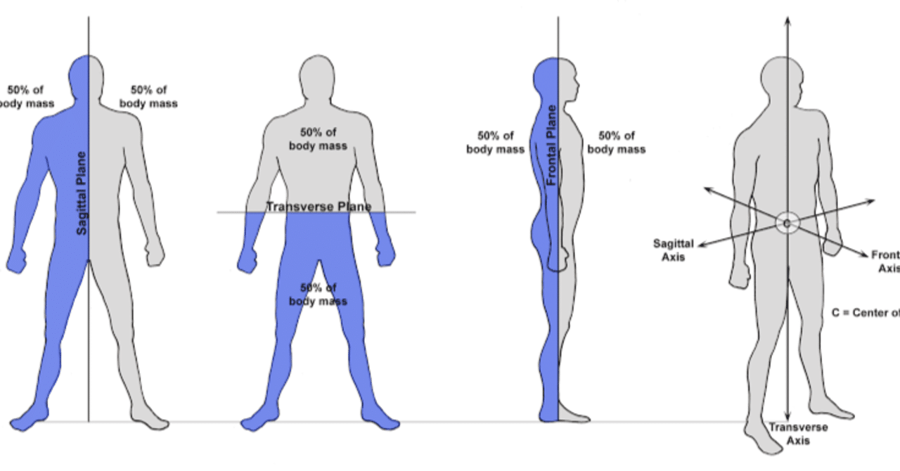 身体の軸を整える｜nakaba_ueno｜note