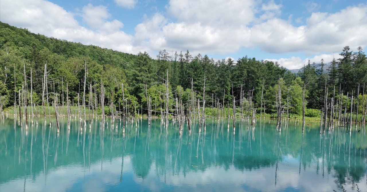 2022年を振り返って【数年ぶりの帰国】｜Mari the world