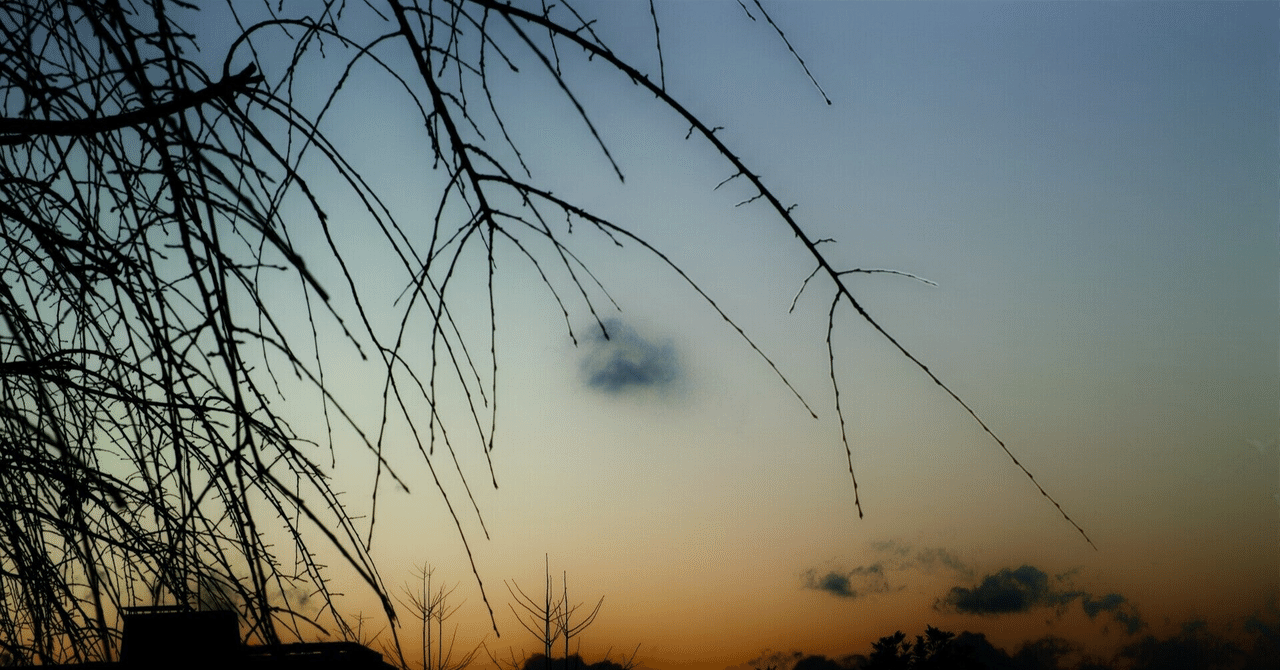 ☆1/3 桐生6R 17:43☆｜みるく