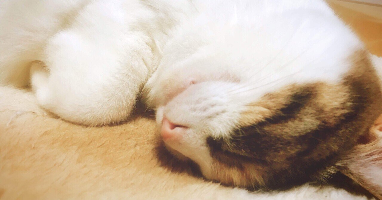 どうして？ありがとう！｜1gou_radio｜note