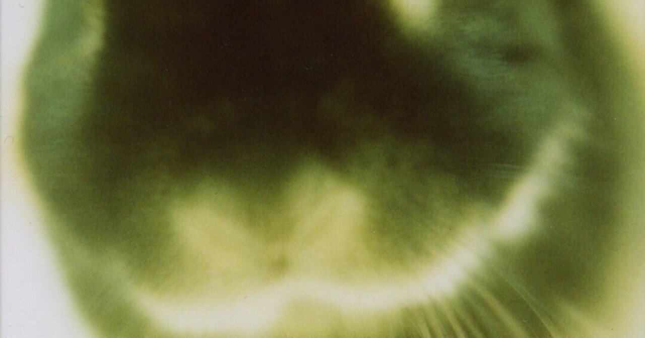 息子に伝えたいこと その40｜naoki｜note