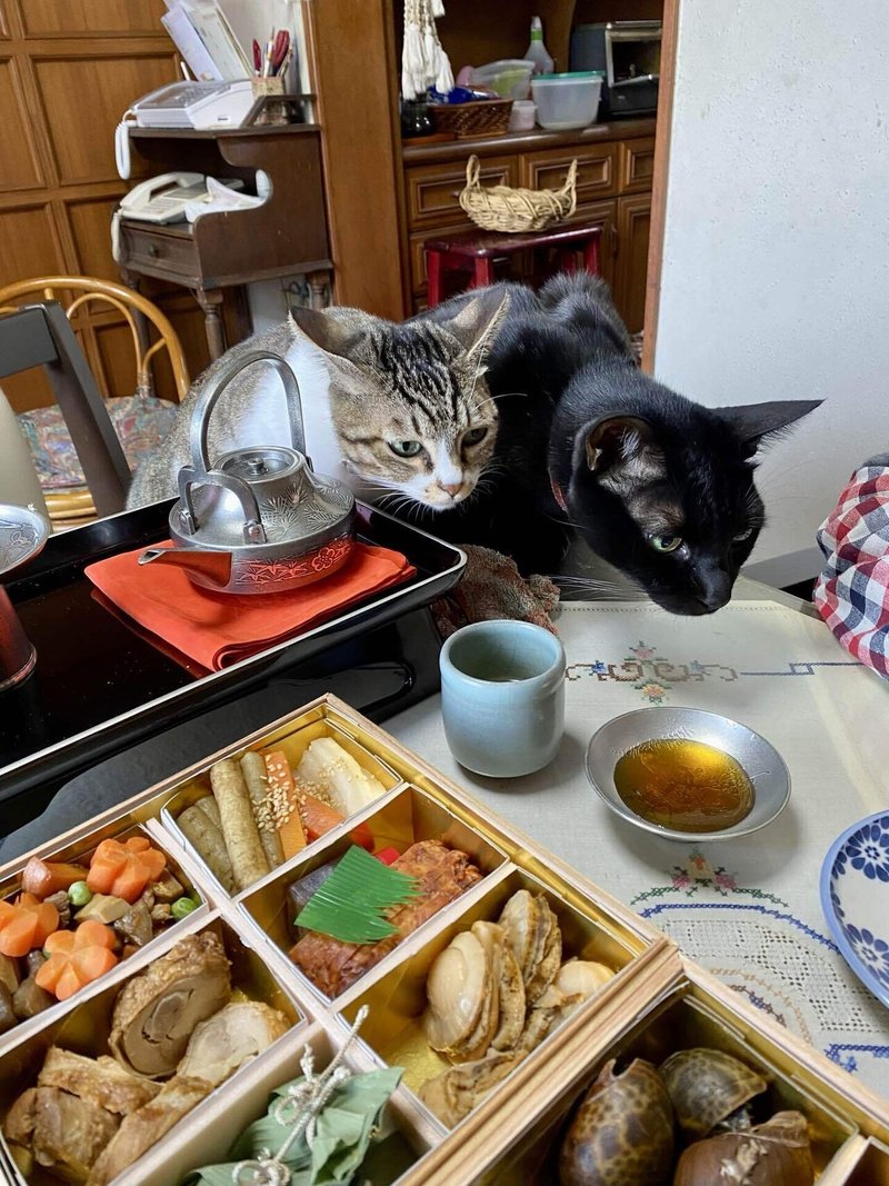 小さな旅｜michiko masaki｜note