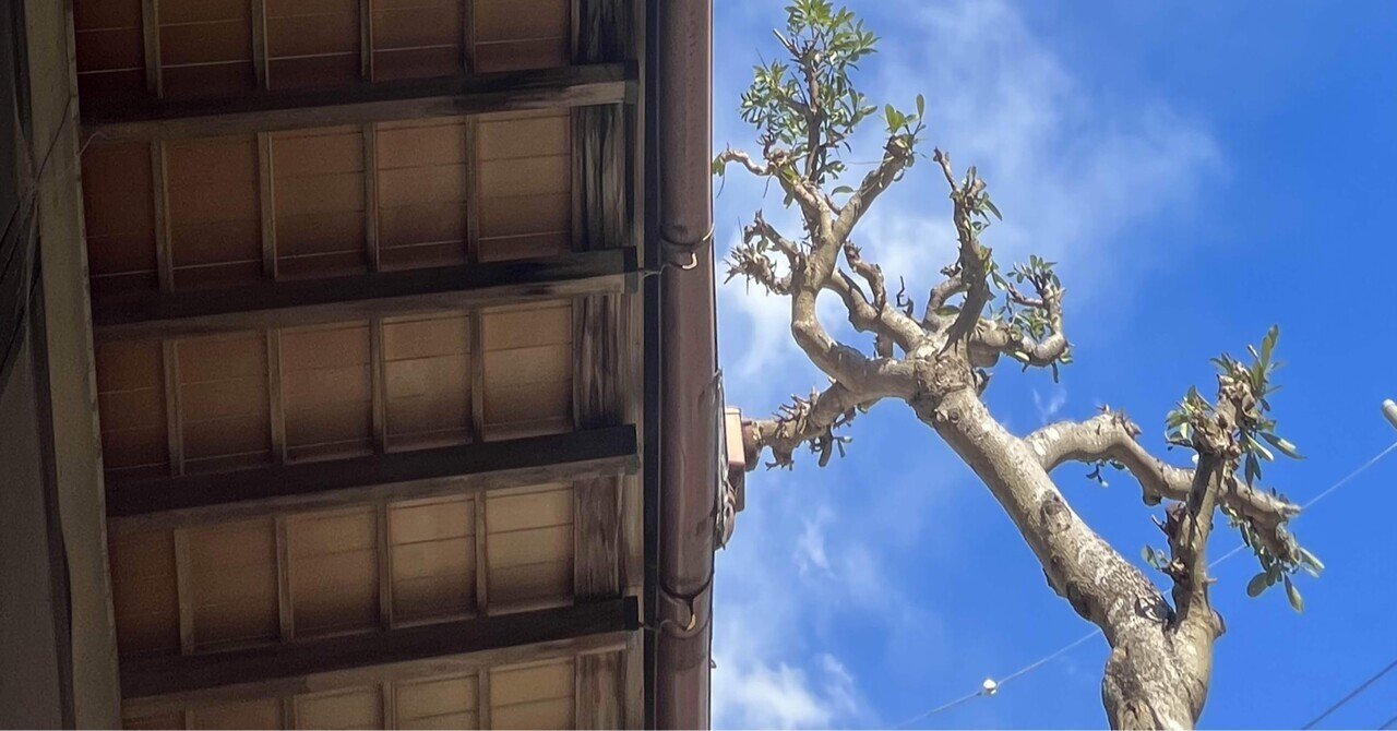 想い出の場所が消えていく。｜Kosuke Arai｜note