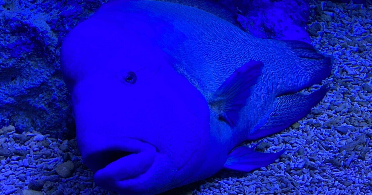 20230103｜Boochan｜note