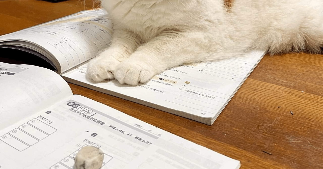 ubuntu microsoft edge install 2023-01-04｜blue06_2022｜note