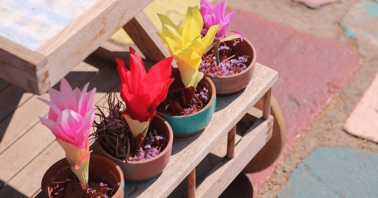 天然ボケといえば私？！｜yuki｜note