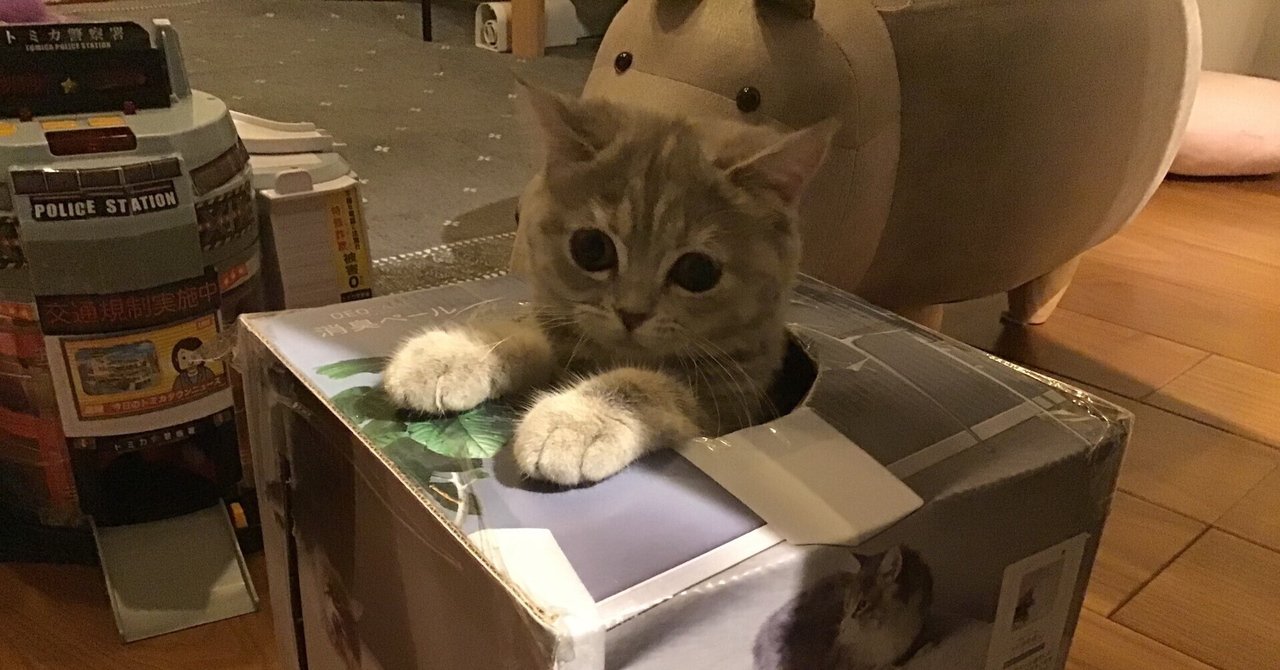 福ちゃんが！｜Sarah(NS)｜note