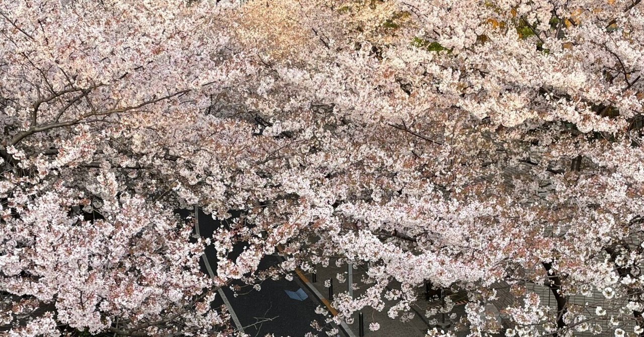 ayano_leizen 冷泉文野｜note