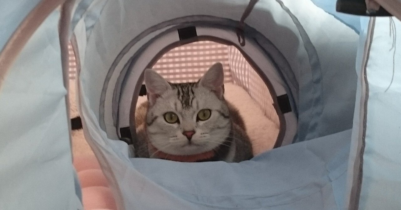 奇跡講座WB実践186 世界の救済は私にかかっている｜(Linp&Ruru)本当の自分を知り、本当の自分として生きる