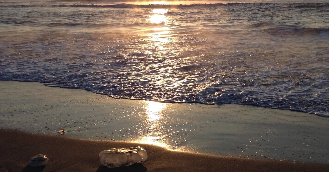 大切なものは、底にある。｜中村真実／Mami Nakamura｜note