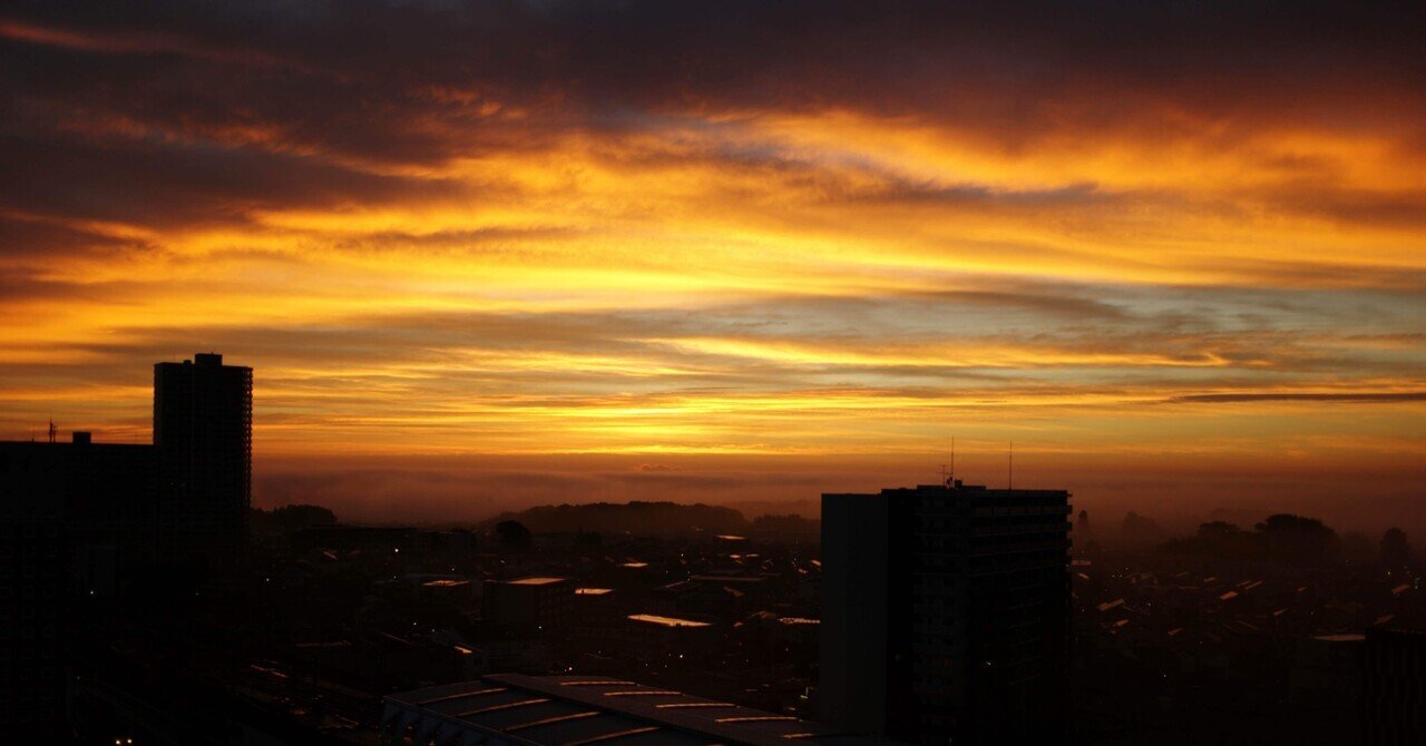 2022年を振り返って｜tatsuki araki