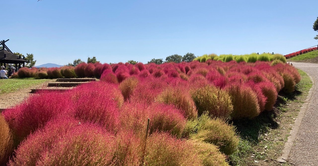 撮り溜めた写真｜みこ77｜note