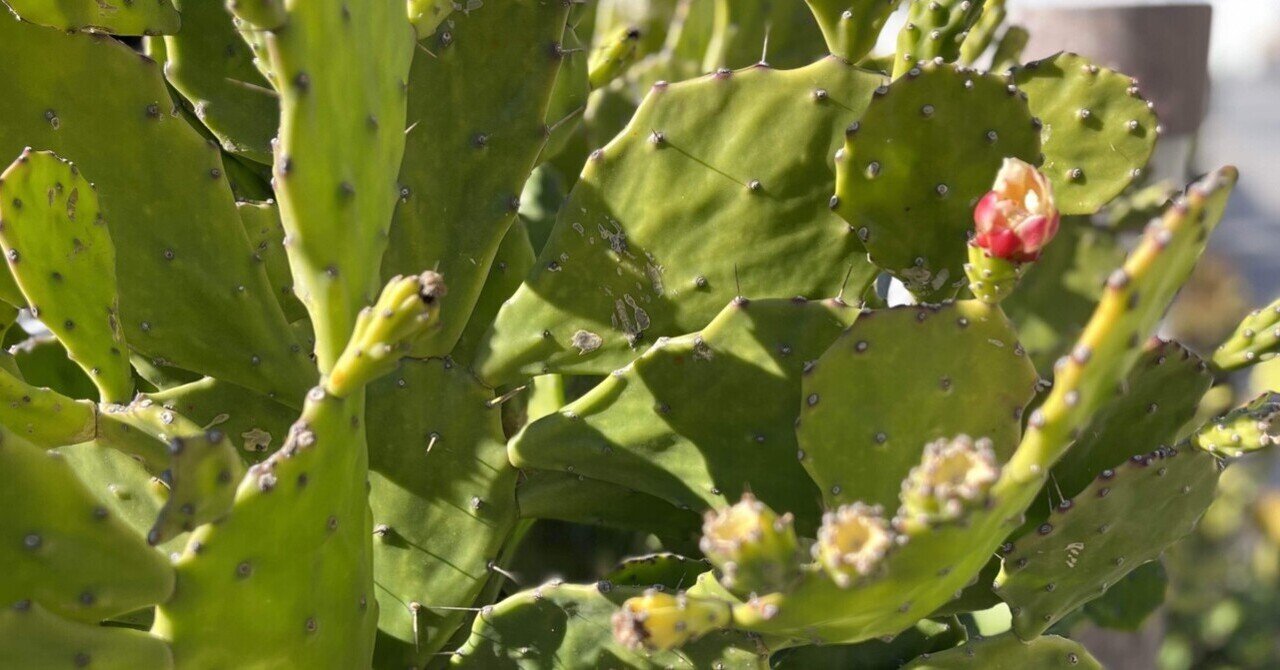 平常運転｜Yuko Kinoshita