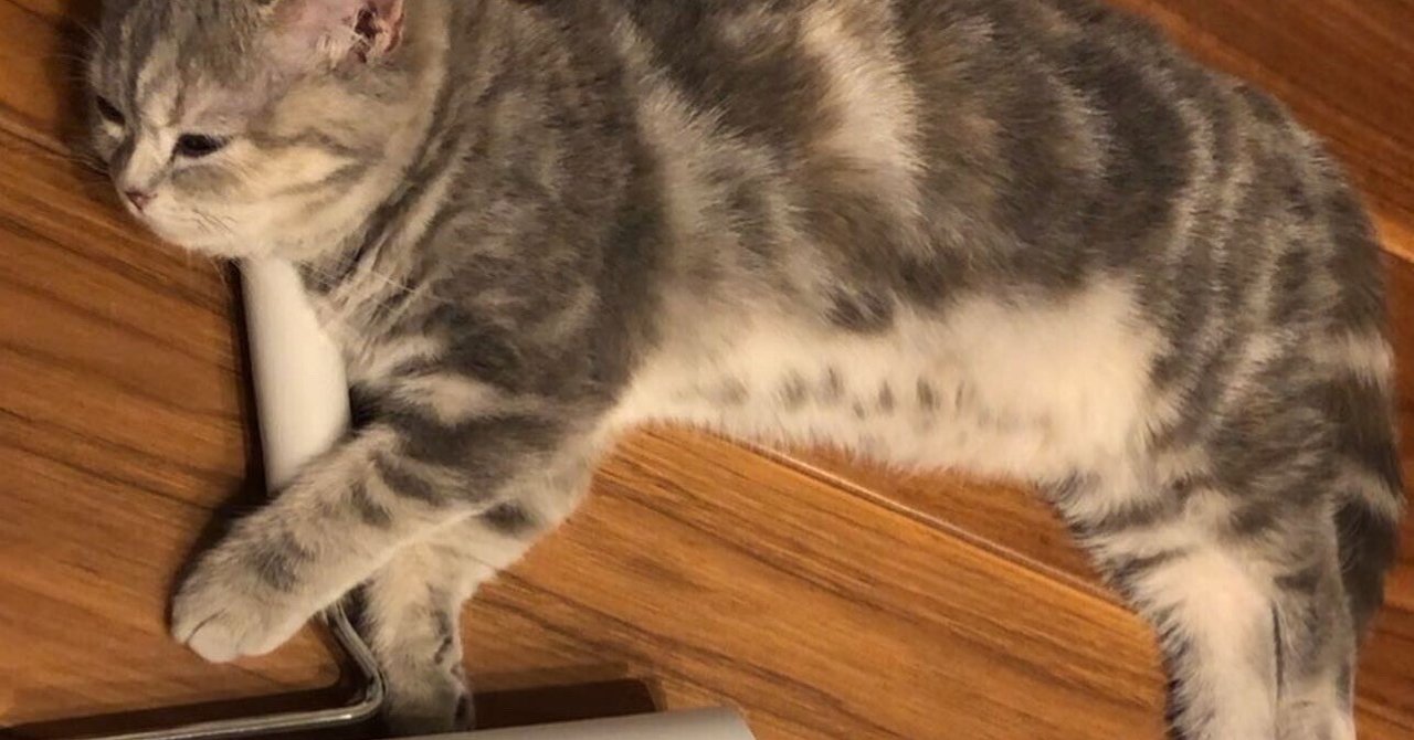 福ちゃん日記帳 1｜Sarah(NS)｜note