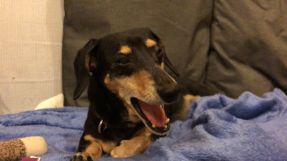 TOSHIKOSHI DAYS｜SENRI OE 大江千里