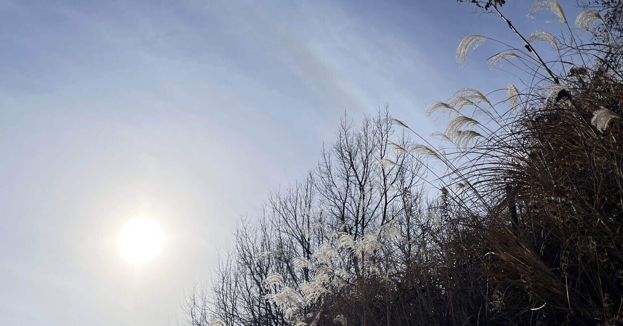 20230106(363)小寒・初候｜mito_k13