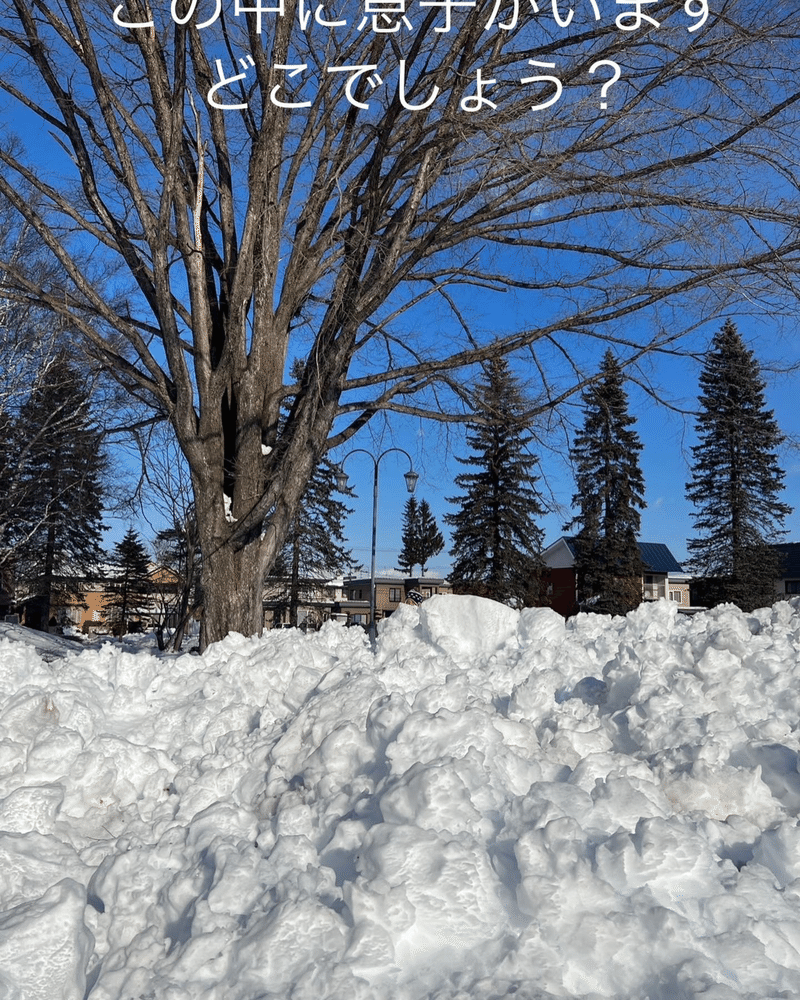 者ですが稼げますか？】｜trader harada｜note