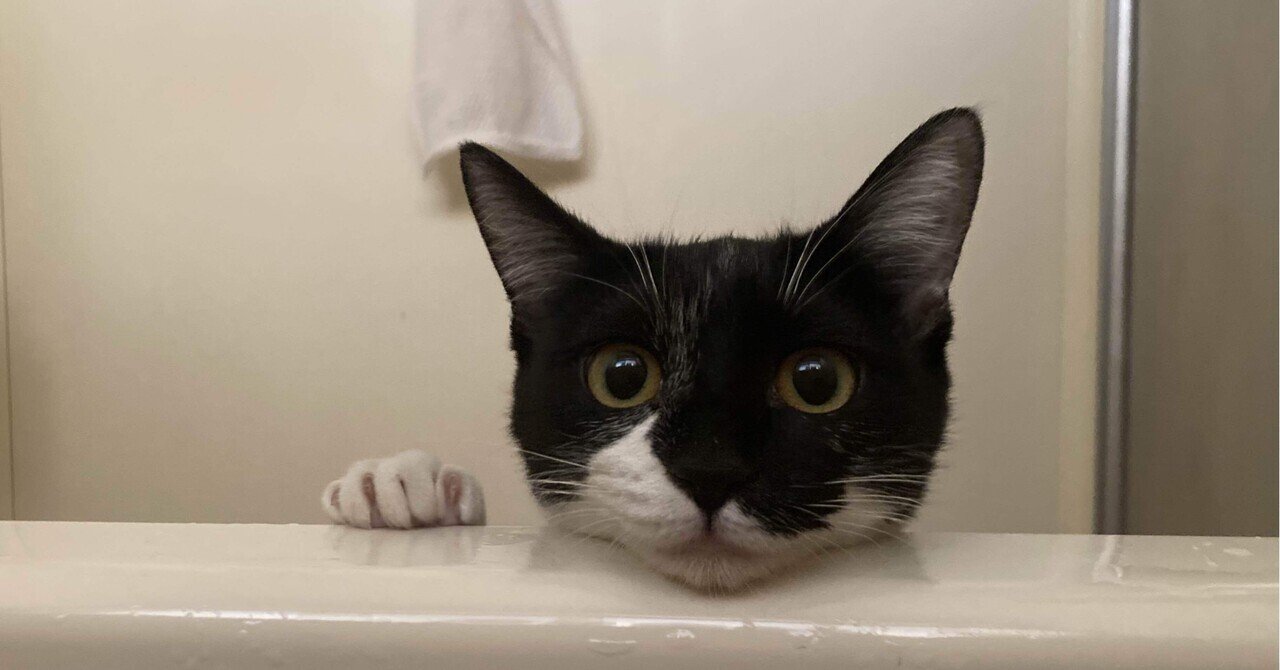 20230106 踊り初め｜カネト愛｜note