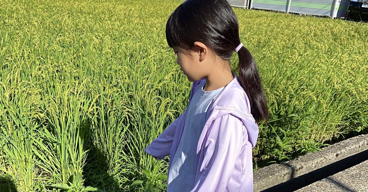 「パパはどうして働いているの？」と子どもに聞かれたら、SDGsチャンス！｜miku | SDGsであなたの未来を考えるキャリコン｜note