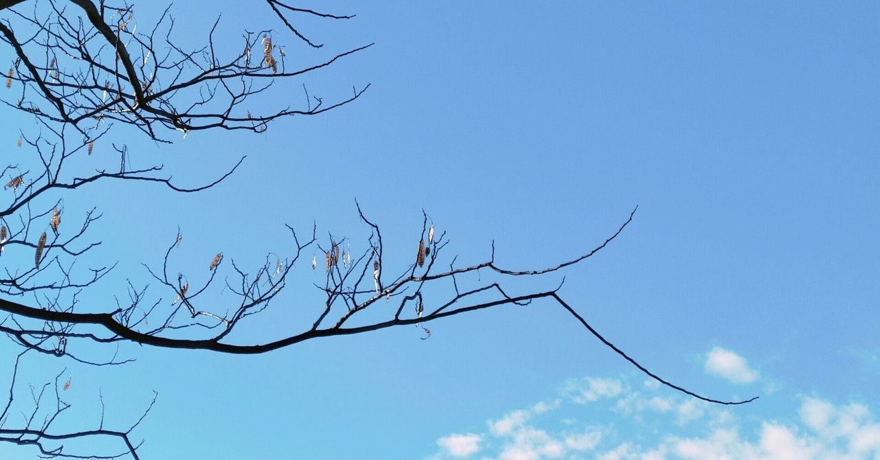 profile｜shio｜note