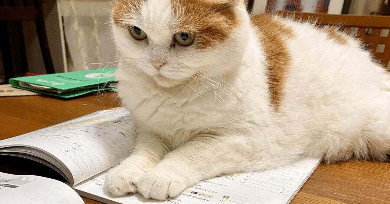 J'ai beaucoup appris.(たくさん学びました。)｜Emika@Nihongo Blog｜note