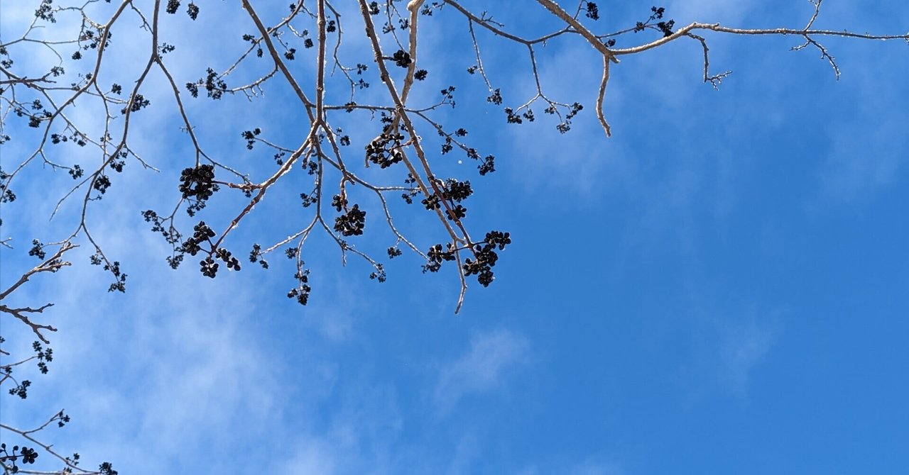 TypeScript 入門の記録（38）プロを目指す人のためのTypeScript入門（23）オブジェクトの型（その2）｜jnkykn