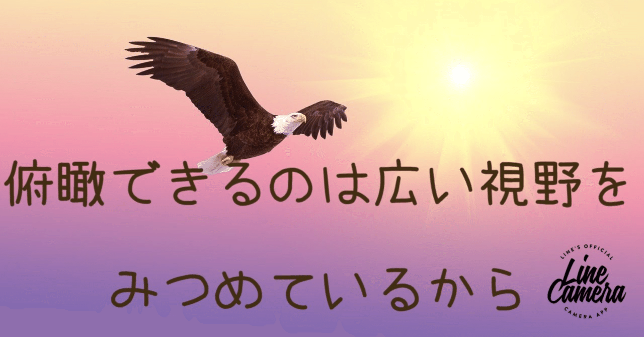 (kin235 青い鷲/青い鷲)音1｜megubon