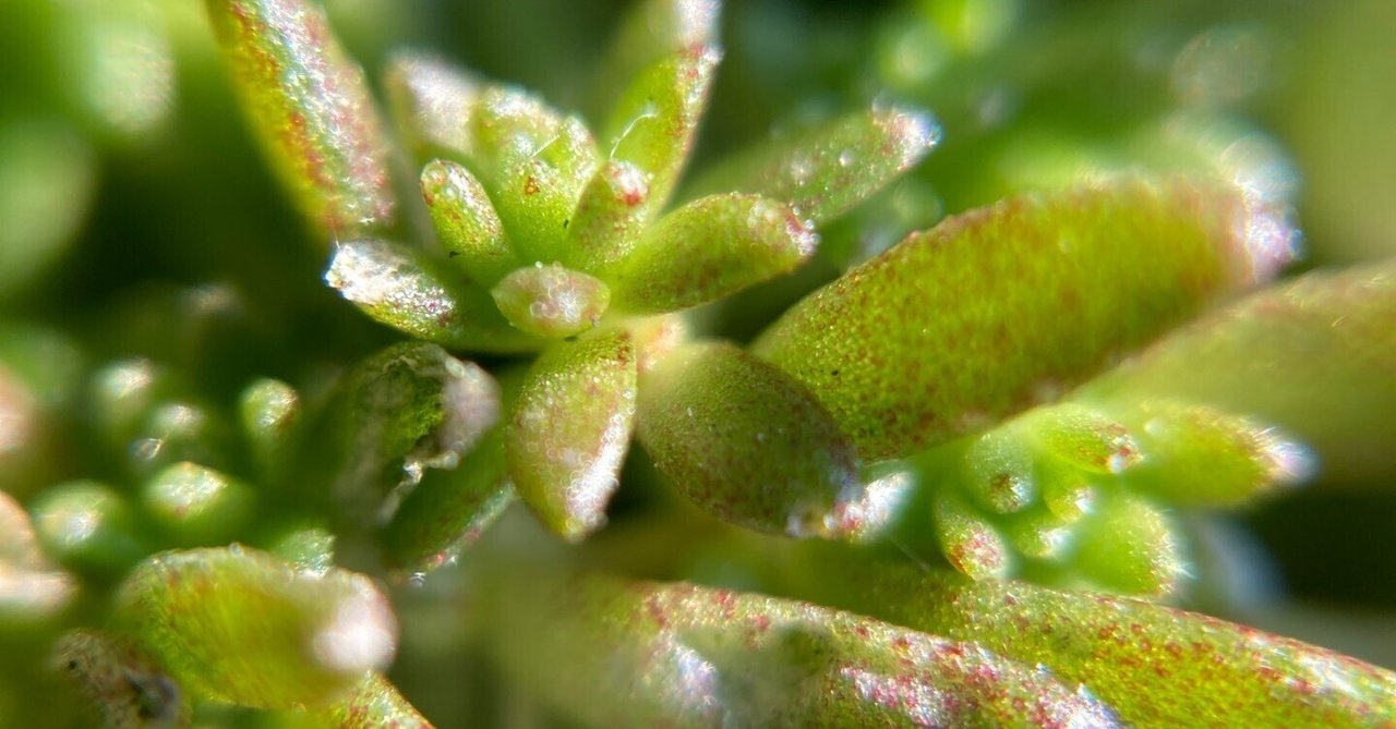 良かれと思ってやっていたことが…｜ck_wakaba｜note