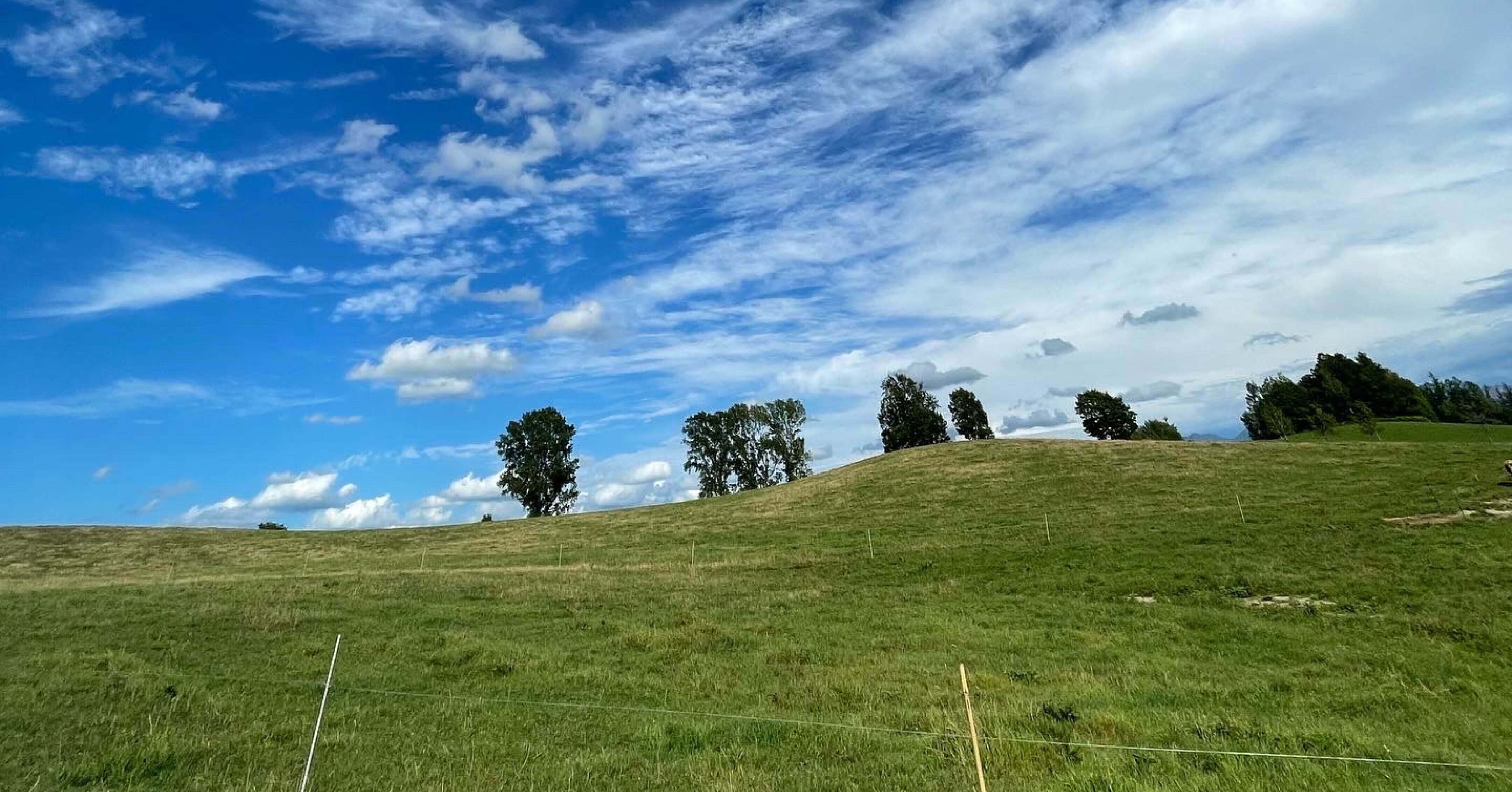 SHIHO-noteはじめてみた、の巻-｜note