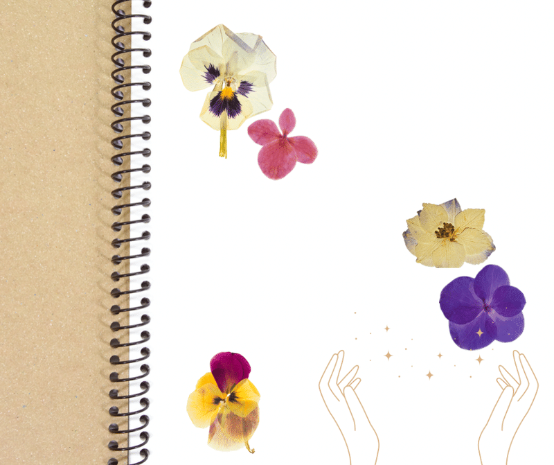 ドライフラワーと押し花作り｜shirokuma KOBE｜note