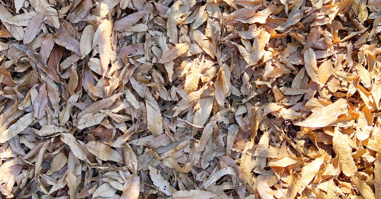 生活の観察-制作記録-5｜202号室 - TAMAOKI Jun