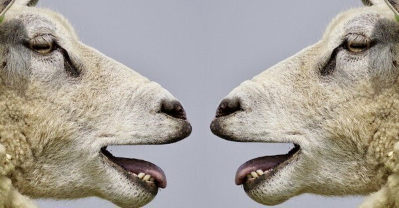 人間関係は経営に優先しない｜【公式】THE GO-GIVER JAPAN