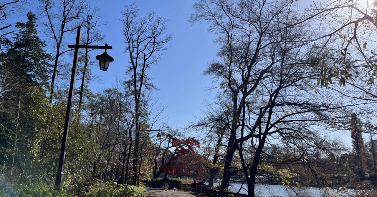 英語が出来るようになって良かったこと｜とげまる（kei wada）｜note