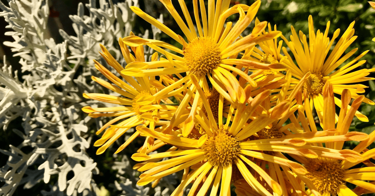 GLORIOUS WORD DEVOTIONALBY PASTOR BERNARD EFAJANUARY 08, 2023A NEW SEASON TO WALK IN HIS FAVOR ...