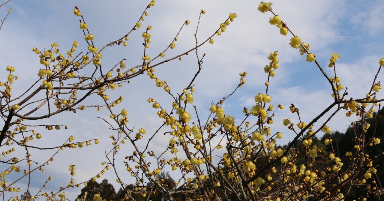 自分の居場所を作る｜nao｜note