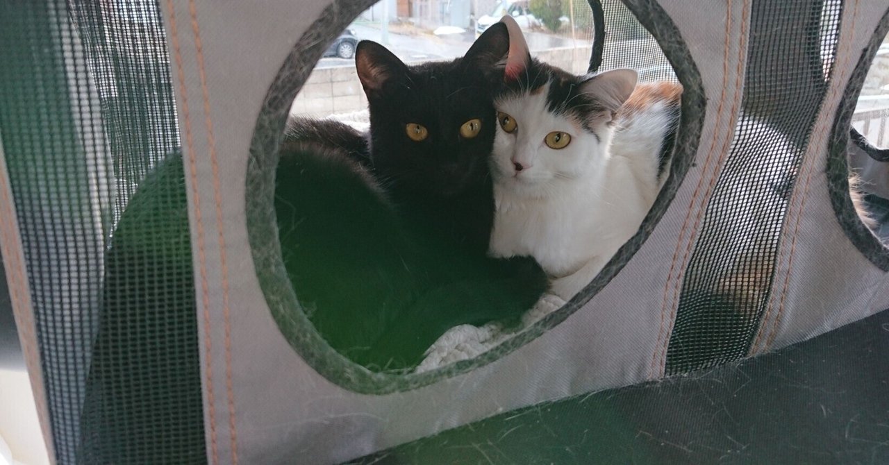 奇跡講座WB実践191 私は神ご自身の聖なる子である｜(Linp&Ruru)本当の自分を知り、本当の自分として生きる